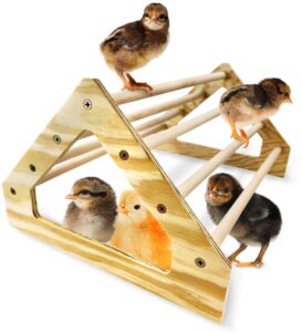 backyard barnyard chick perch strong wooden jungle gym roosting bar made in usa!!! chicken toys for coop and brooder for baby chicks el pollitos la pollita pollos gallinas polluelos