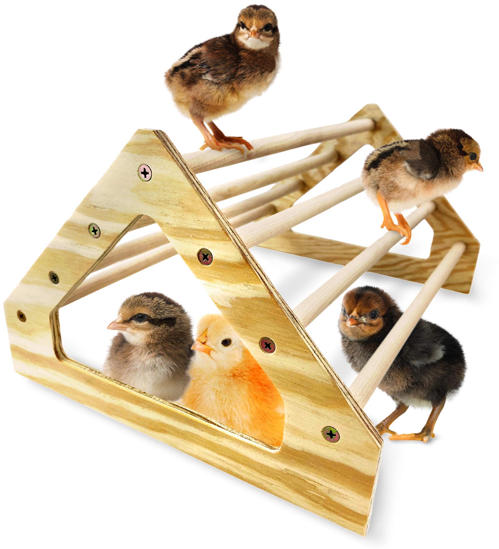 Backyard Barnyard Chick Perch Strong Wooden Jungle Gym Roosting Bar Made in USA!!! Chicken Toys for Coop and Brooder for Baby Chicks El Pollitos La Pollita Pollos Gallinas Polluelos