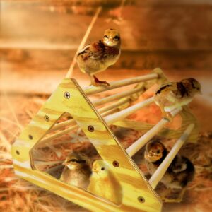 Backyard Barnyard Chick Perch Strong Wooden Jungle Gym Roosting Bar Made in USA!!! Chicken Toys for Coop and Brooder for Baby Chicks El Pollitos La Pollita Pollos Gallinas Polluelos