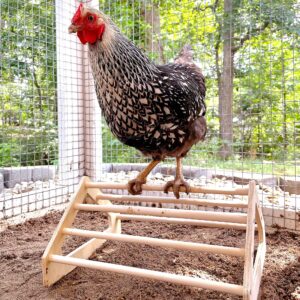 Backyard Barnyard Chick Perch Strong Wooden Jungle Gym Roosting Bar Made in USA!!! Chicken Toys for Coop and Brooder for Baby Chicks El Pollitos La Pollita Pollos Gallinas Polluelos