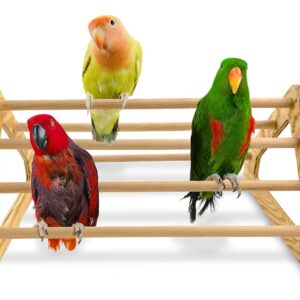 Backyard Barnyard Chick Perch Strong Wooden Jungle Gym Roosting Bar Made in USA!!! Chicken Toys for Coop and Brooder for Baby Chicks El Pollitos La Pollita Pollos Gallinas Polluelos