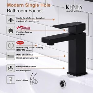 KENES Matte Black Single Handle Bathroom Sink Faucet, Stainless Steel Vanity Faucet for Bathroom Sink, with Pop Up Drain Stopper & Water Supply Hoses LJ-9031-2