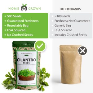 HOME GROWN 500+ Cilantro Seeds for Planting Indoors or Outdoors - Heirloom, Non-GMO Coriander Seeds, Grow Your Own Cilantro Plant - Culinary Herb Seeds for Your Herb Garden