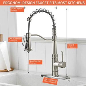 OWOFAN Brushed Kitchen Faucet Including Stainlees Steel Drinking Water Faucet, and Copper Soap Dispenser