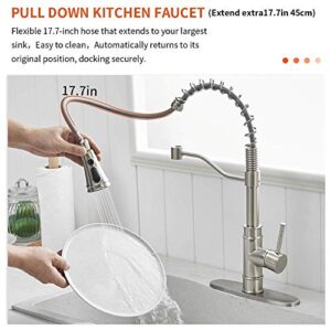 OWOFAN Brushed Kitchen Faucet Including Stainlees Steel Drinking Water Faucet, and Copper Soap Dispenser