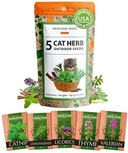 home grown 2100+ cat grass seeds - catnip seeds, lemongrass, licorice, thyme seeds, valerian - grow cat grass for indoor cats - cat grass seeds bulk - refill cat growing grass kit