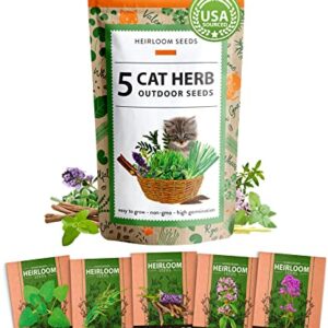 HOME GROWN 2100+ Cat Grass Seeds - Catnip Seeds, Lemongrass, Licorice, Thyme Seeds, Valerian - Grow Cat Grass for Indoor Cats - Cat Grass Seeds Bulk - Refill Cat Growing Grass Kit