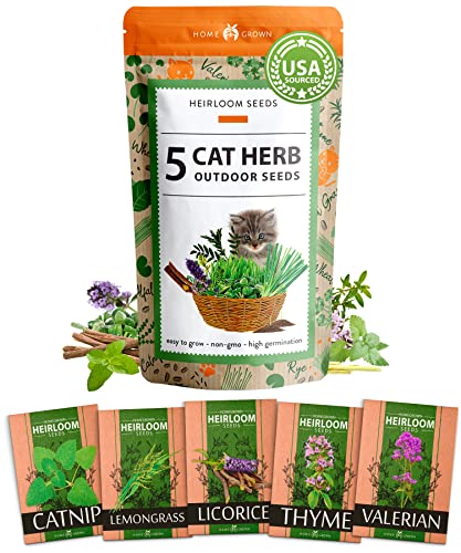 HOME GROWN 2100+ Cat Grass Seeds - Catnip Seeds, Lemongrass, Licorice, Thyme Seeds, Valerian - Grow Cat Grass for Indoor Cats - Cat Grass Seeds Bulk - Refill Cat Growing Grass Kit