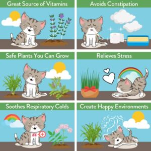 HOME GROWN 2100+ Cat Grass Seeds - Catnip Seeds, Lemongrass, Licorice, Thyme Seeds, Valerian - Grow Cat Grass for Indoor Cats - Cat Grass Seeds Bulk - Refill Cat Growing Grass Kit