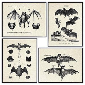 bats wall decor - vintage retro hipster goth art, home or room decoration - gift for gothic, horror, vampire fans - 8x10 unframed creepy scary anatomical picture poster print set