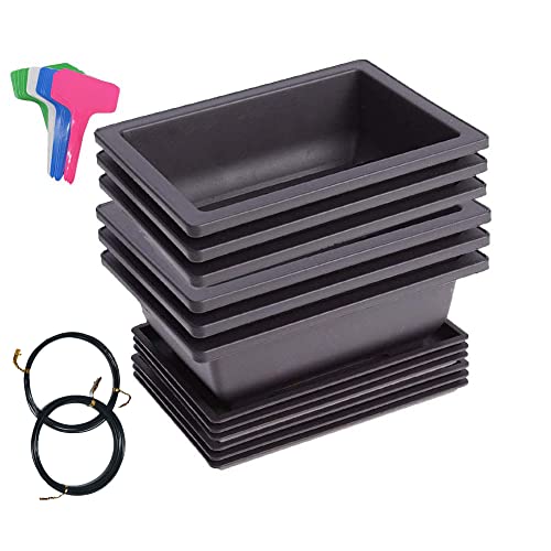 6 Packs 6.3 Inches Bonsai Training Pots with Trays, Come with 15pcs Plant Lables, Rectangle Bonsai Flower Growing Nursery Planter Pots for Indoor Outdoor Home Garden, Black