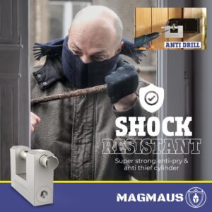 Magmaus® RTL/70 Heavy Duty Lock for Shipping Container - [Weatherproof] - Secure Outdoor Lock for Storage Unit, Gate, Shed, Fence, Door - 3 Keys