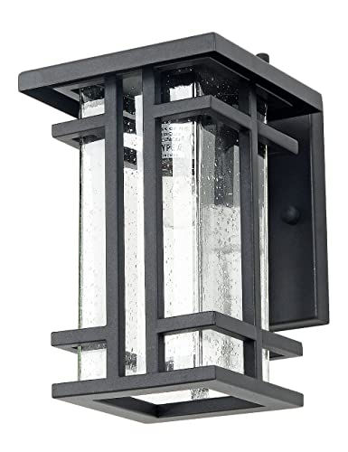 Retro Outdoor Wall Light Small Outside Wall Lamp with Clear Seeded Glass Shade 10"H Exterior Light Fixtures Wall Mount IP65 Waterproof Outdoor Porch House Lighting Exterior Wall Lantern E26,Black