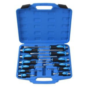 Sunplux 12-Piece Magnetic Screwdriver Set, Heavy Duty Screwdriver Set Go-Thru Steel Blades, High Torque 6 Phillips & 6 Flat Head Tips Screwdrivers Set with Case