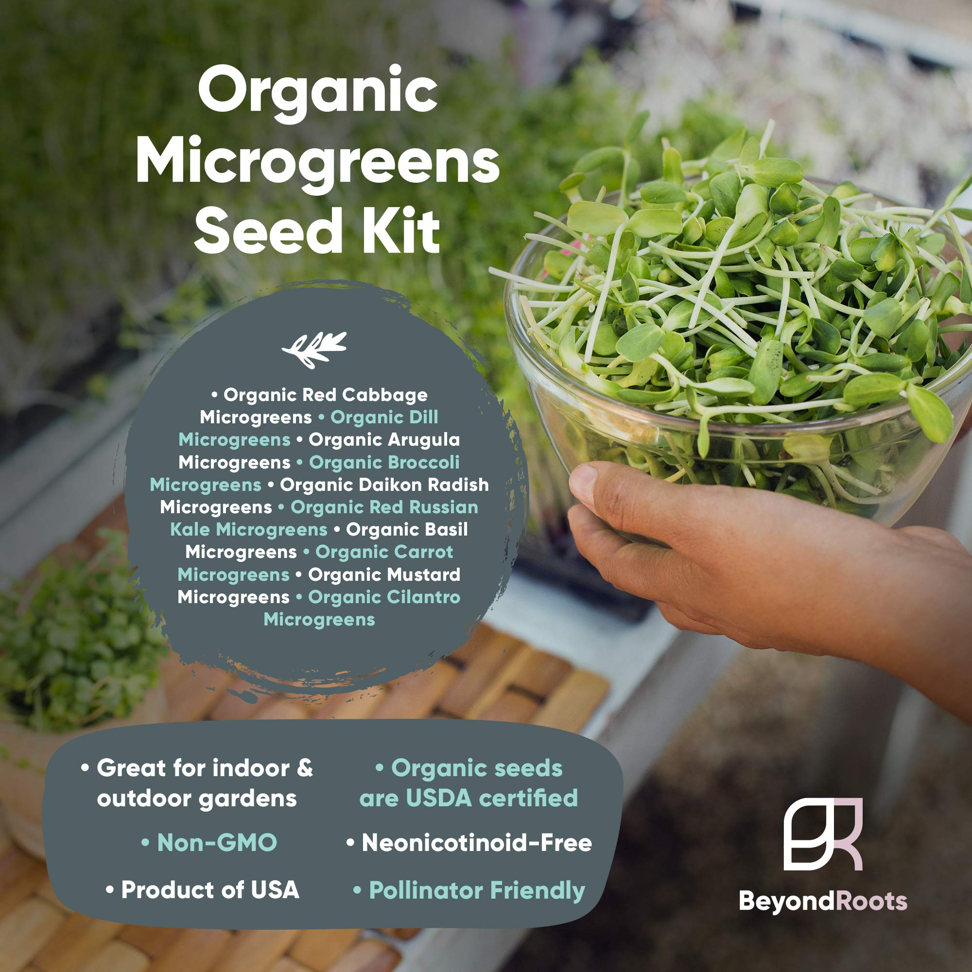 Organic Microgreens Seeds for Sprouting Variety Pack - 100% USDA Organic Sprouting Seeds - 10 Heirloom Seed Packets & Plant Markers