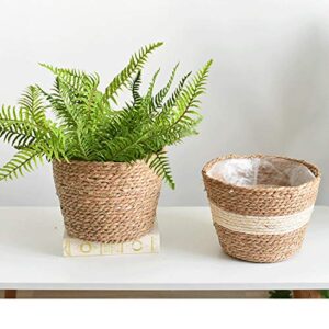 SANGDA Seagrass Planters, Cover Storage Basket Containers Hand Woven Straw Pot with Plastic Liners for Indoor Outdoor Plant, Flower