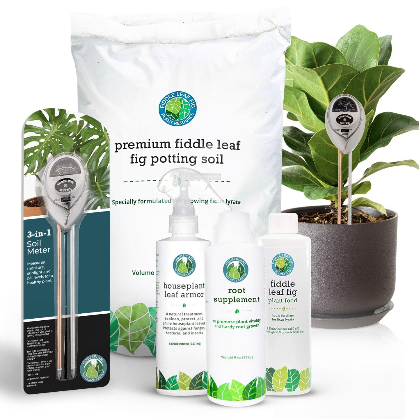 Ultimate Fiddle Leaf Fig Care Bundle