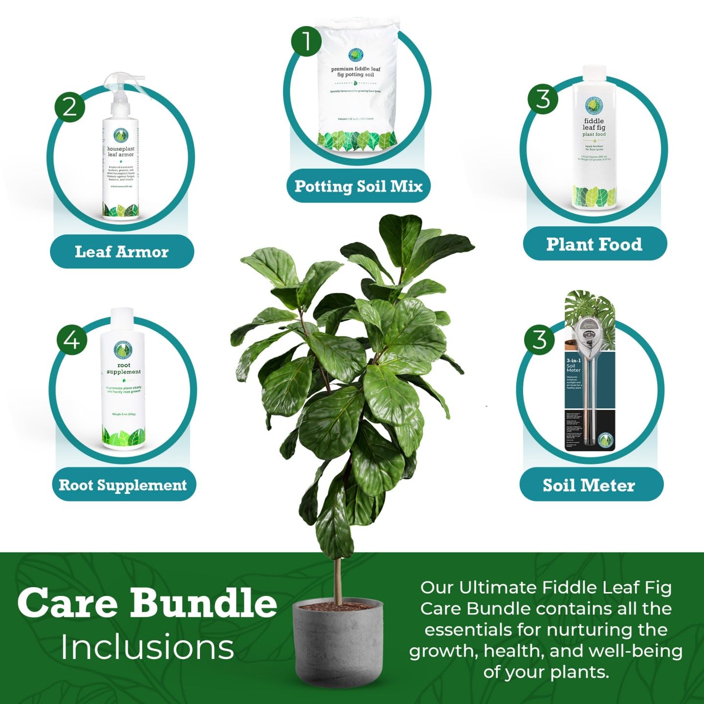 Ultimate Fiddle Leaf Fig Care Bundle