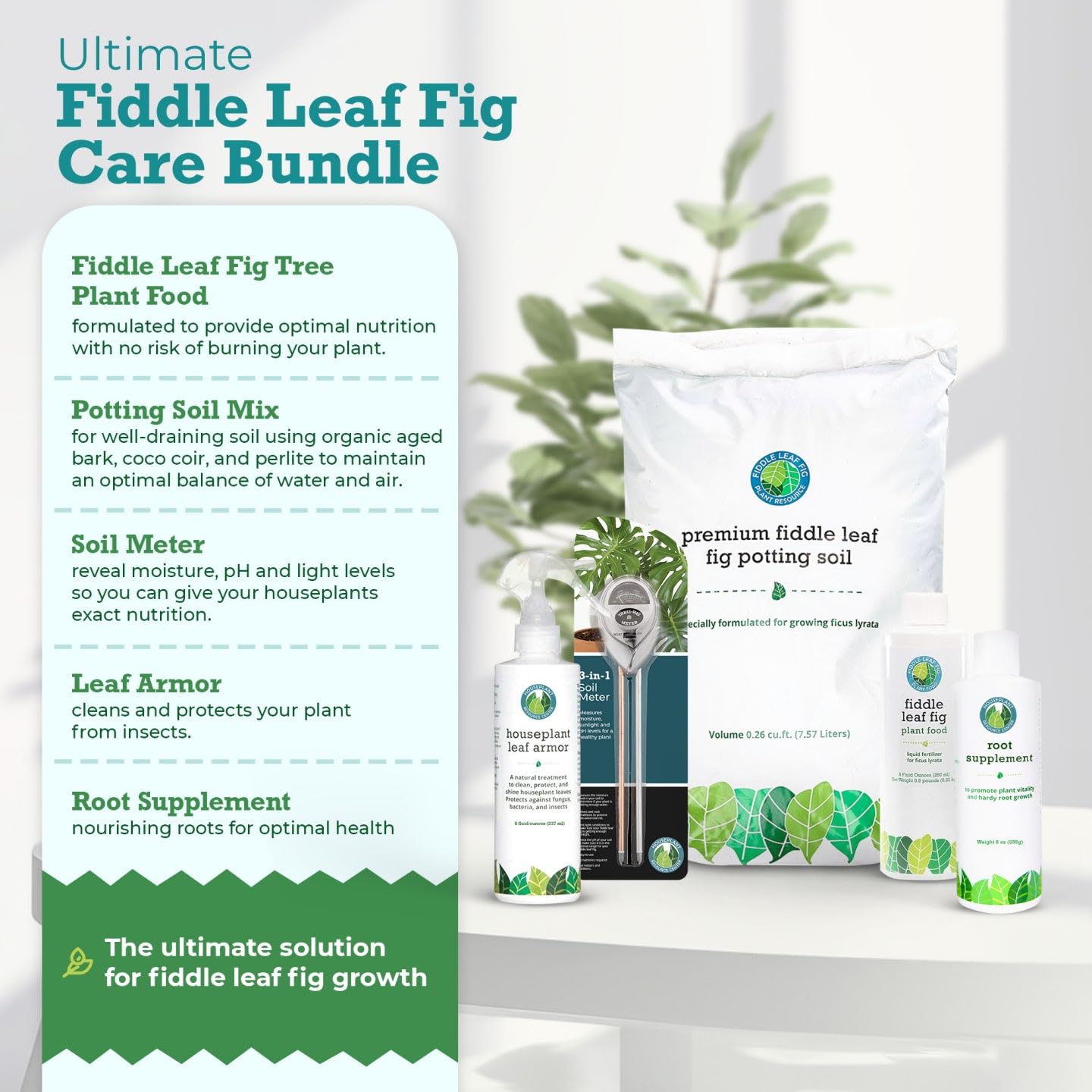 Ultimate Fiddle Leaf Fig Care Bundle