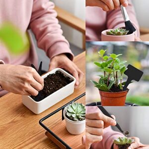 Benvo 20 Pieces Succulent Plants Tools Mini Garden Transplanting Set for Fairy Garden Planting, Miniature Plant Care of Cactus, Houseplant, Bonsai Plants Tools Kit