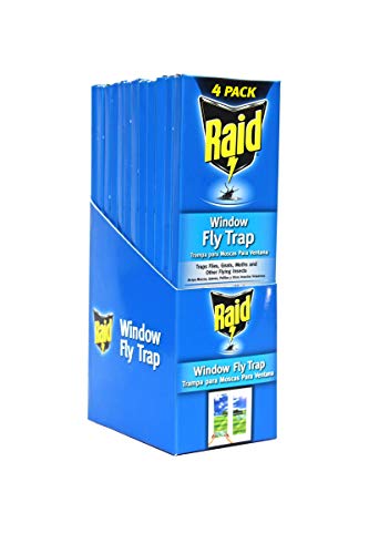 Raid Window Fly Trap, 4 Count (12-Pack)