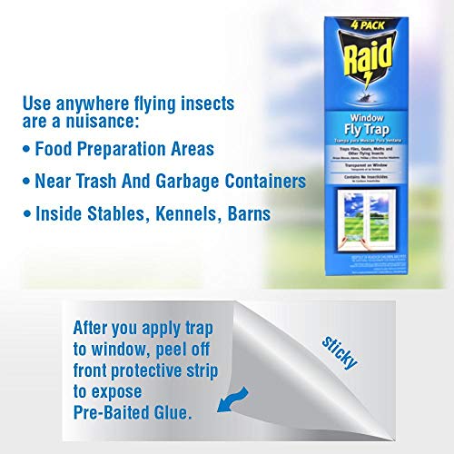 Raid Window Fly Trap, 4 Count (12-Pack)