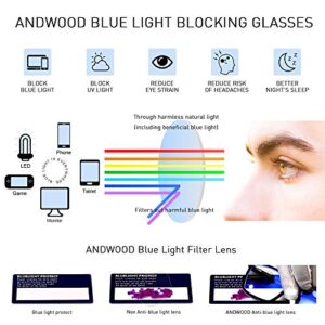 ANDWOOD Blue Light Blocking Glasses Women Cat Eye Computer Eyeglasses Metal Frame Hipster 2 Pack Rose Gold Black