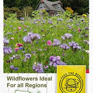 American Meadows Wildflower Seed Packets "Feed The Bees'' Party Favors (Pack of 20) - Pollinator Wildflower Seed Mix to Attract Hummingbirds, Bees, and Butterflies, Party Favor for Any Occasion