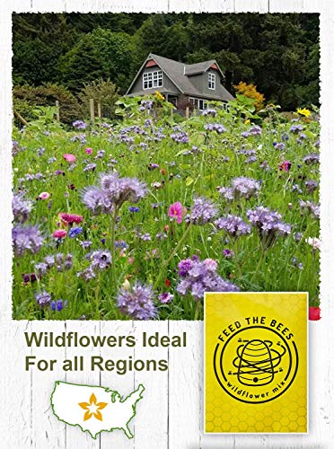 American Meadows Wildflower Seed Packets "Feed The Bees'' Party Favors (Pack of 20) - Pollinator Wildflower Seed Mix to Attract Hummingbirds, Bees, and Butterflies, Party Favor for Any Occasion