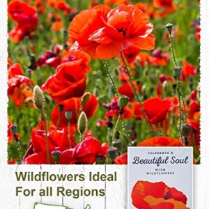 American Meadows Wildflower Seed Packets "Celebrate a Beautiful Soul" Memorial Favors (Pack of 20) - Red Poppy Seed Mix, Favors for Funerals, Wakes, Viewings, Visitations, Memorial Services