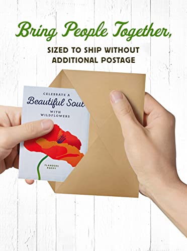 American Meadows Wildflower Seed Packets "Celebrate a Beautiful Soul" Memorial Favors (Pack of 20) - Red Poppy Seed Mix, Favors for Funerals, Wakes, Viewings, Visitations, Memorial Services