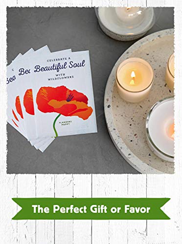 American Meadows Wildflower Seed Packets "Celebrate a Beautiful Soul" Memorial Favors (Pack of 20) - Red Poppy Seed Mix, Favors for Funerals, Wakes, Viewings, Visitations, Memorial Services