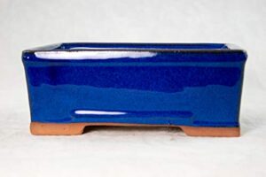 rectangular shohin bonsai/cactus & succulent pot + mesh 6.25"x 4.75"x 2.5" dark blue