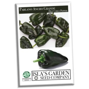 poblano ancho grande hot chile pepper seeds for planting, 50+ heirloom seeds per packet, (isla's garden seeds), non gmo, botanical name: capsicum annuum, great home garden gift