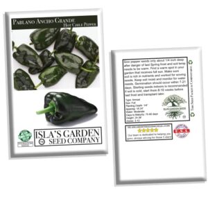 Poblano Ancho Grande Hot Chile Pepper Seeds for Planting, 50+ Heirloom Seeds Per Packet, (Isla's Garden Seeds), Non GMO, Botanical Name: Capsicum annuum, Great Home Garden Gift