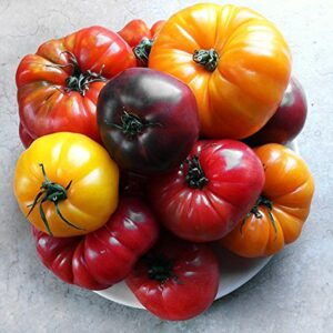 This is A Mix!!! 30+ Rainbow Deluxe Tomato Seeds Mix 16 Varieties, Heirloom Non-GMO, Indeterminate, Old German, Chocolate Stripes, Ukrainian Purple, Amish Paste USA