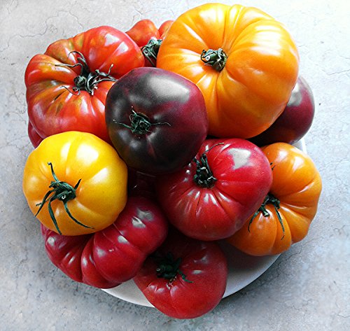 This is A Mix!!! 30+ Rainbow Deluxe Tomato Seeds Mix 16 Varieties, Heirloom Non-GMO, Indeterminate, Old German, Chocolate Stripes, Ukrainian Purple, Amish Paste USA