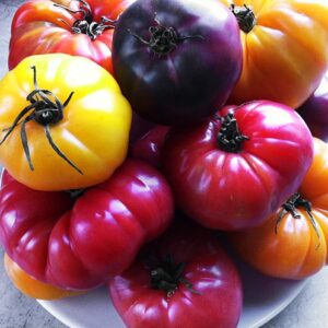 This is A Mix!!! 30+ Rainbow Deluxe Tomato Seeds Mix 16 Varieties, Heirloom Non-GMO, Indeterminate, Old German, Chocolate Stripes, Ukrainian Purple, Amish Paste USA