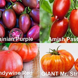 This is A Mix!!! 30+ Rainbow Deluxe Tomato Seeds Mix 16 Varieties, Heirloom Non-GMO, Indeterminate, Old German, Chocolate Stripes, Ukrainian Purple, Amish Paste USA