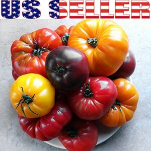 This is A Mix!!! 30+ Rainbow Deluxe Tomato Seeds Mix 16 Varieties, Heirloom Non-GMO, Indeterminate, Old German, Chocolate Stripes, Ukrainian Purple, Amish Paste USA