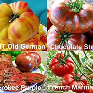 This is A Mix!!! 30+ Rainbow Deluxe Tomato Seeds Mix 16 Varieties, Heirloom Non-GMO, Indeterminate, Old German, Chocolate Stripes, Ukrainian Purple, Amish Paste USA