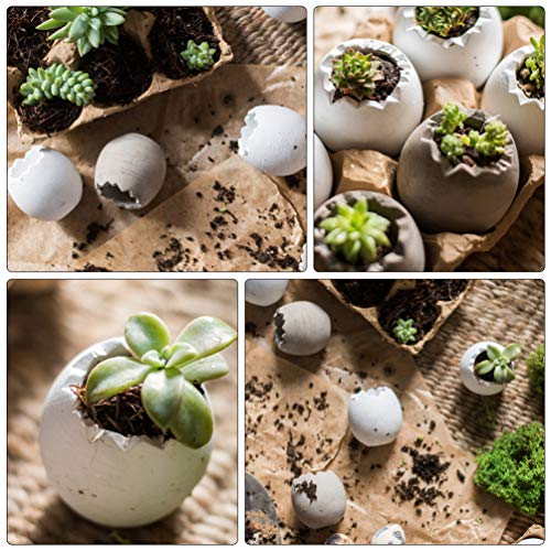 Egg Shell Succulent Flowerpot Desktop Stand Small Succulent Pots Bonsai Pots Planters for Indoor Plants Porcelain Plant Pots Flower Decor Concrete Nursery Earth Tones Office