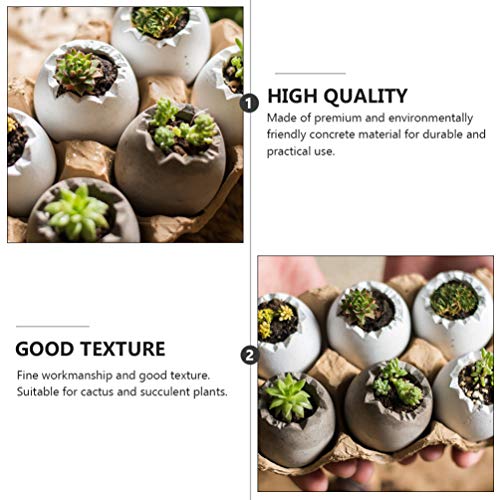 Egg Shell Succulent Flowerpot Desktop Stand Small Succulent Pots Bonsai Pots Planters for Indoor Plants Porcelain Plant Pots Flower Decor Concrete Nursery Earth Tones Office