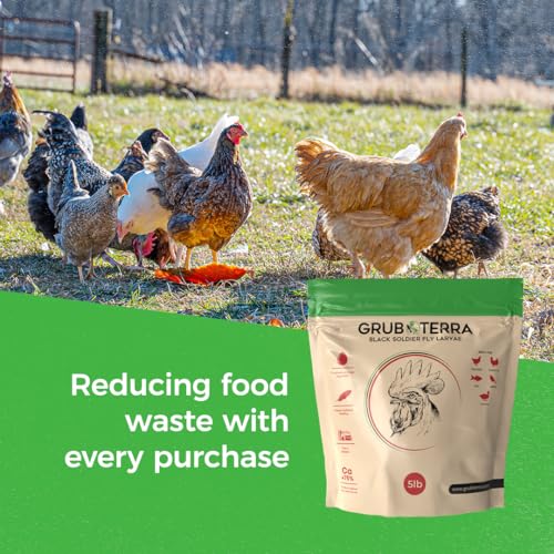 GrubTerra Dried Black Soldier Fly Larvae, Non-GMO Healthy Chicken Treats for Chicken, Ducks, Turkeys and Other Wild Birds with 75x More Calcium Than Dried Mealworms. (5lb)