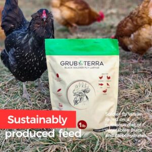 GrubTerra Dried Black Soldier Fly Larvae, Non-GMO Healthy Chicken Treats for Chicken, Ducks, Turkeys and Other Wild Birds with 75x More Calcium Than Dried Mealworms. (5lb)