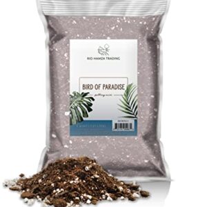 Bird of Paradise Planting Soil, Hand Blended All Natural Potting Mix for Planting, Growing, or Repotting Bird of Paradise Plant, Potting Soil for Bird of Paradise, Small Batch Hand Blended 8QT Bag