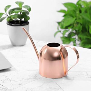 YARDWE 1000ml Stainless Steel Watering Can Plant Watering Can with Long Spout Small Size for Home Garden Office Bonsai Indoors and Outdoors