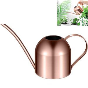 YARDWE 1000ml Stainless Steel Watering Can Plant Watering Can with Long Spout Small Size for Home Garden Office Bonsai Indoors and Outdoors