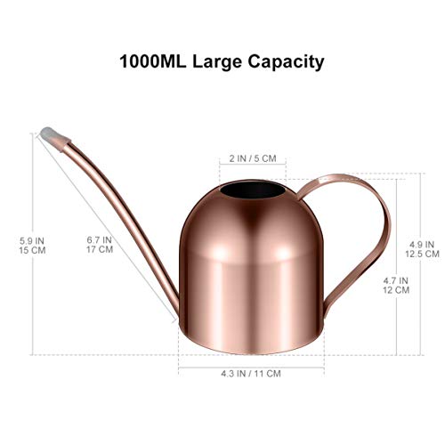 YARDWE 1000ml Stainless Steel Watering Can Plant Watering Can with Long Spout Small Size for Home Garden Office Bonsai Indoors and Outdoors