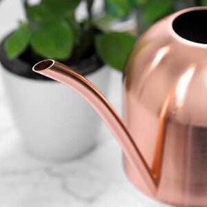 YARDWE 1000ml Stainless Steel Watering Can Plant Watering Can with Long Spout Small Size for Home Garden Office Bonsai Indoors and Outdoors